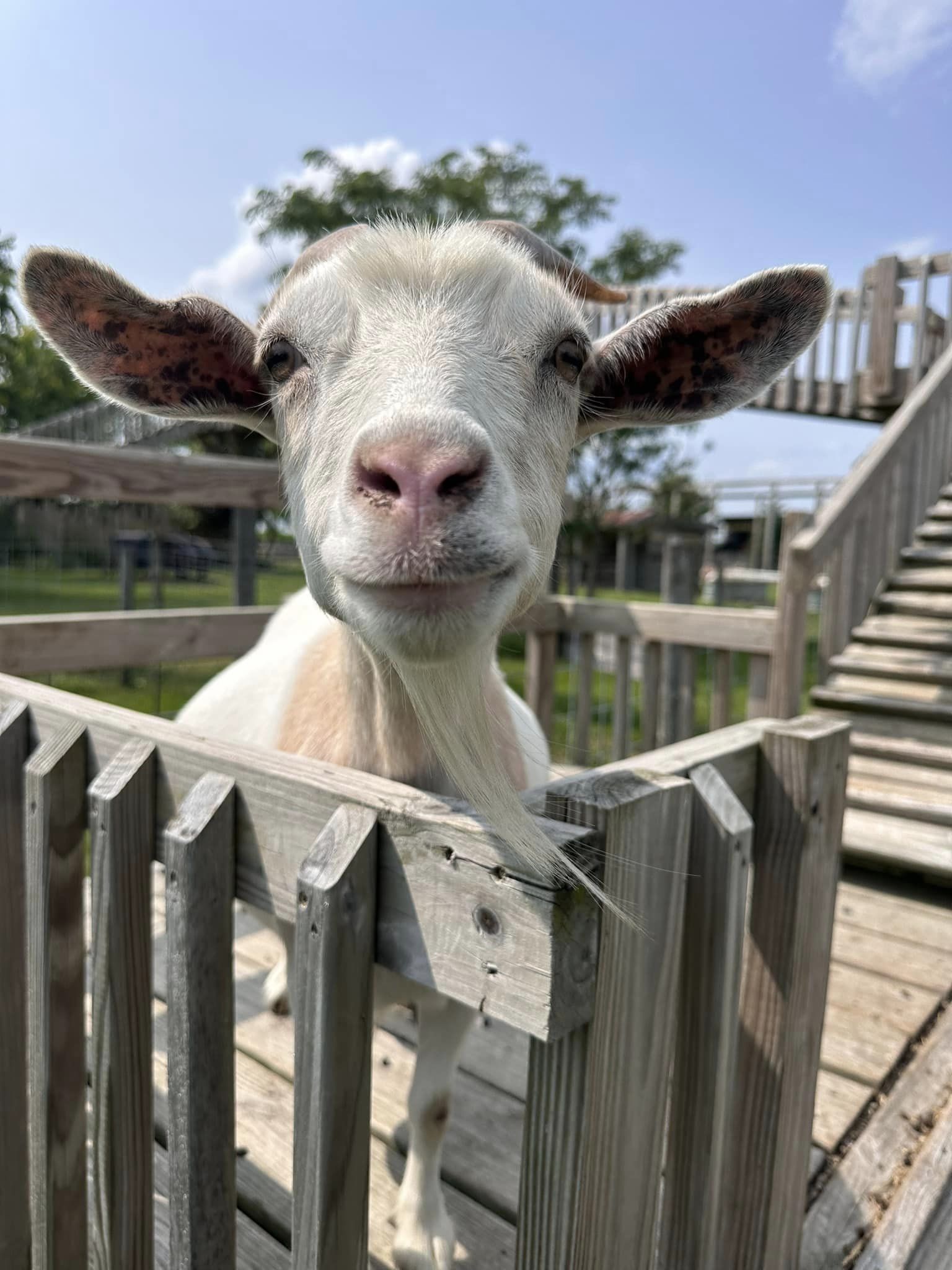 Blooms On The Farm Is In Full Color - Mid-West Farm Report