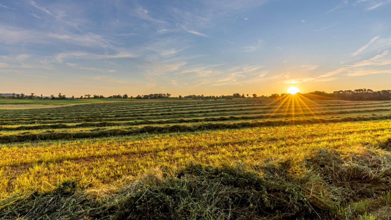 Wet Weather Slowed Fieldwork - Mid-West Farm Report
