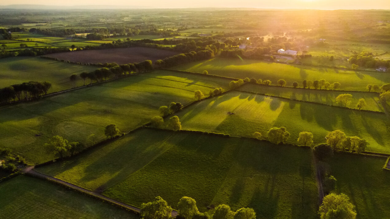 Land Values Through The Lens Of Energy Demand - Mid-West Farm Report