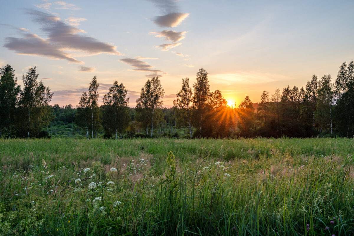 USDA Accepts Nearly 1.8M Acres Through CRP - Mid-West Farm Report
