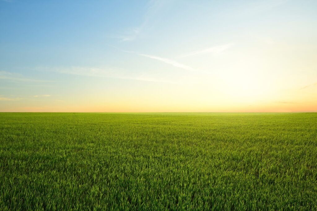 Sand County Foundation Enhances Grasslands Resilience - Mid-West Farm ...