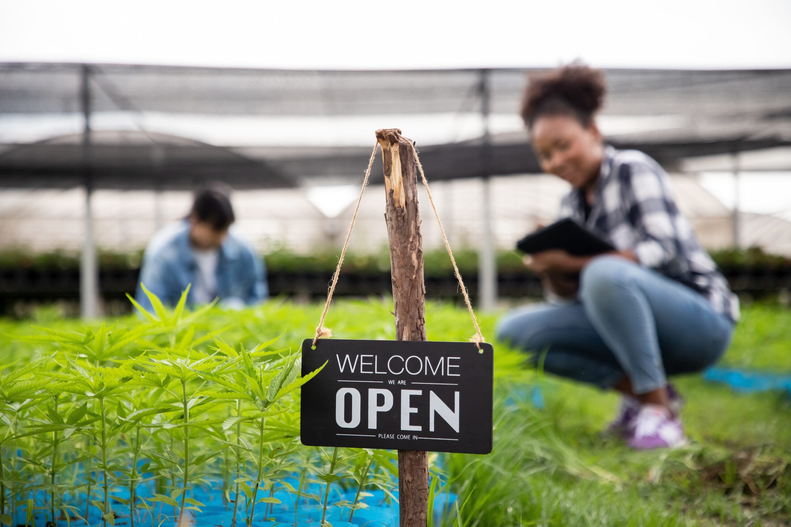 Open Farm Day Welcomes Attendees Rain Or Shine - Mid-West Farm Report