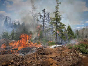 Wisconsin Experiencing Critical Fire Danger - Mid-West Farm Report