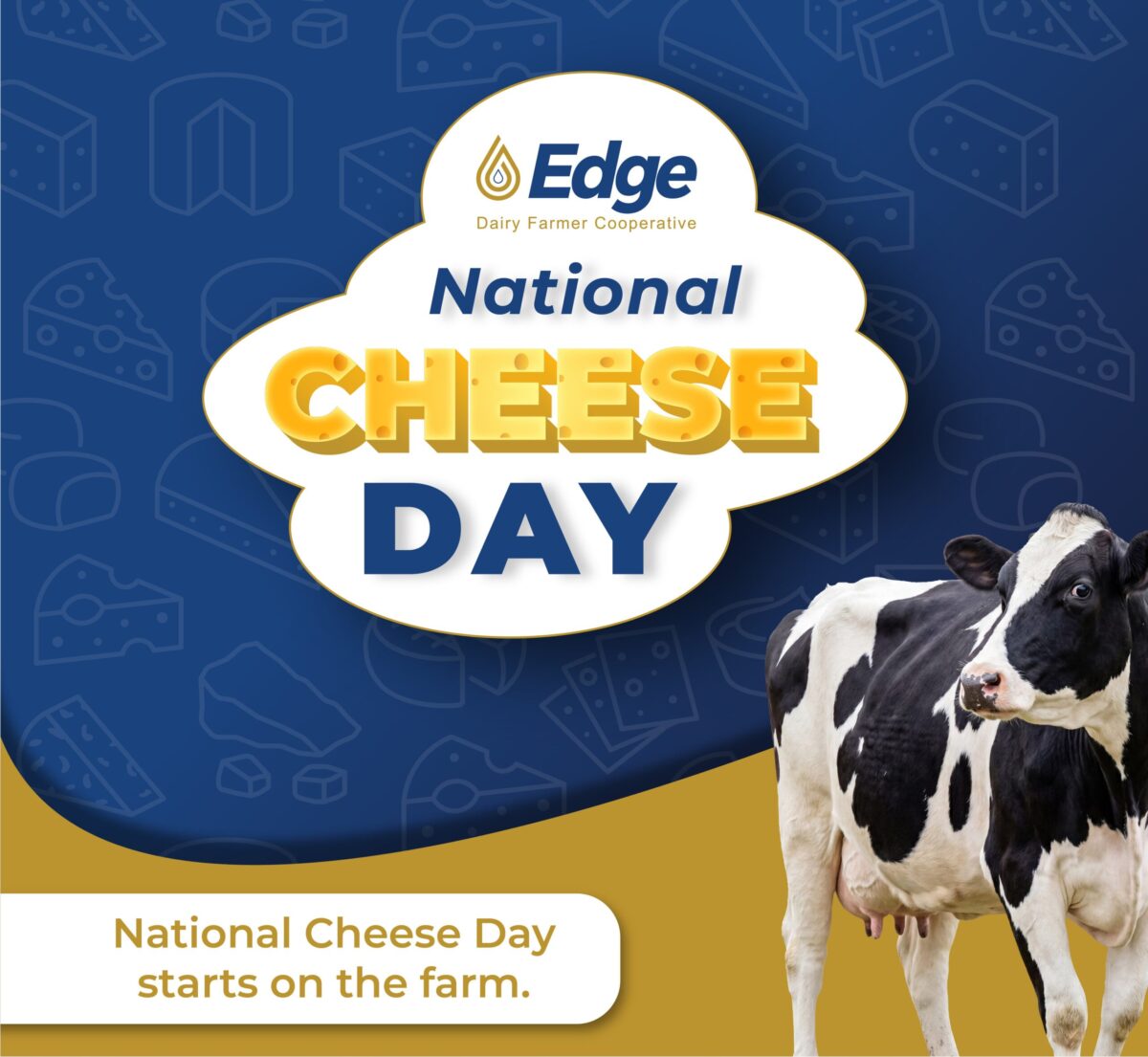 Edge Launches Virtual National Cheese Day Campaign - Mid-West Farm Report