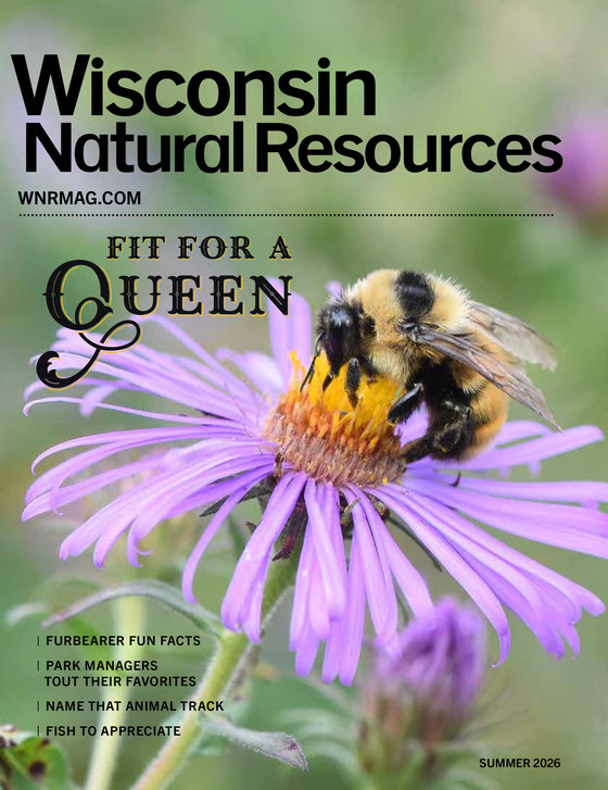 Bumble Bees Cover DNR Magazine - Mid-West Farm Report